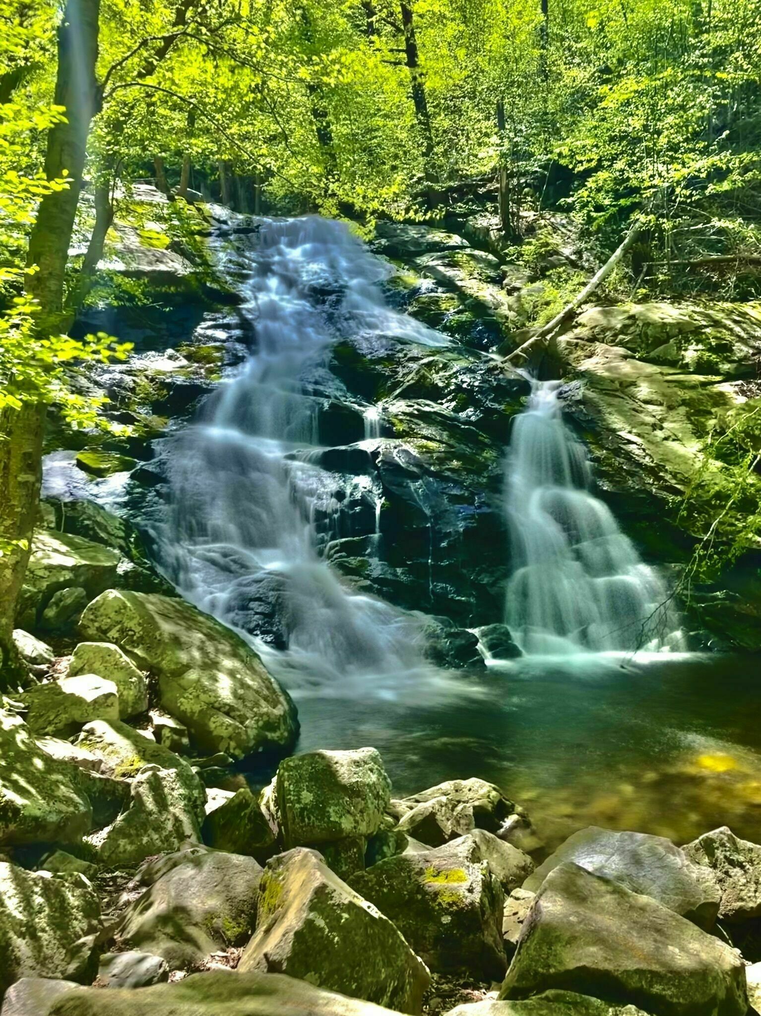 Sun. 04/24/2022: Hike to Black Rock Forest Mineral Springs Trail | Lin ...